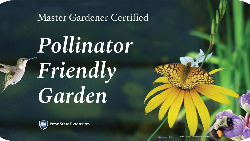 Master Gardeners to celebrate pollinator-friendly garden program milestone | Penn State University